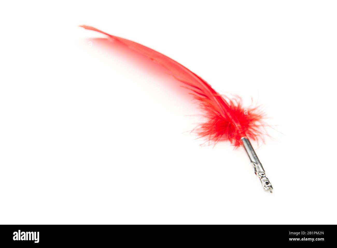 A red feather pen isolated on white background Stock Photo - Alamy