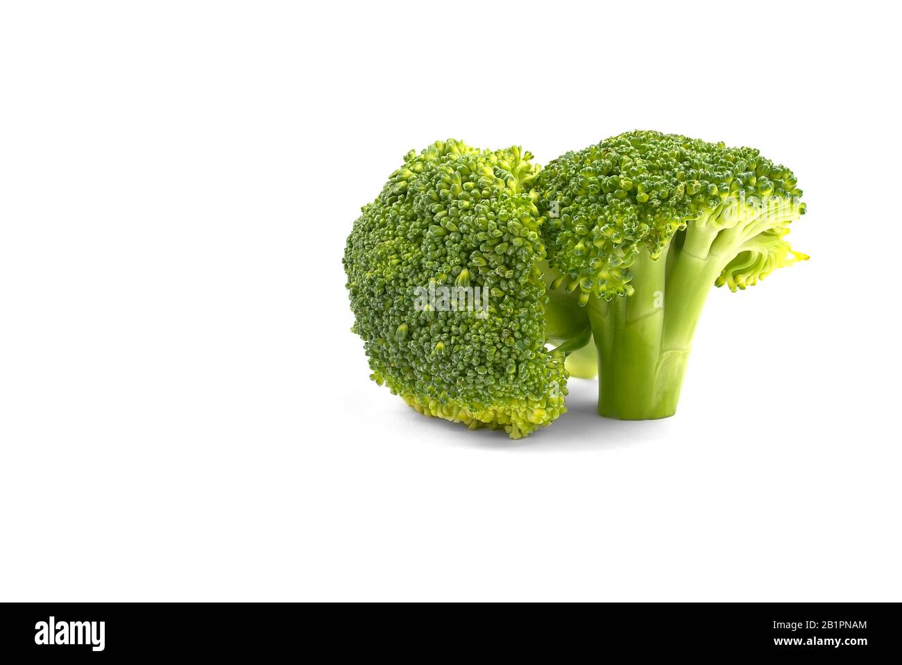 Highly detailed fresh broccoli, isolated on white. close up shoot Stock ...