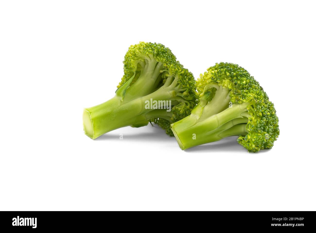 Highly detailed fresh broccoli, isolated on white. close up shoot Stock ...