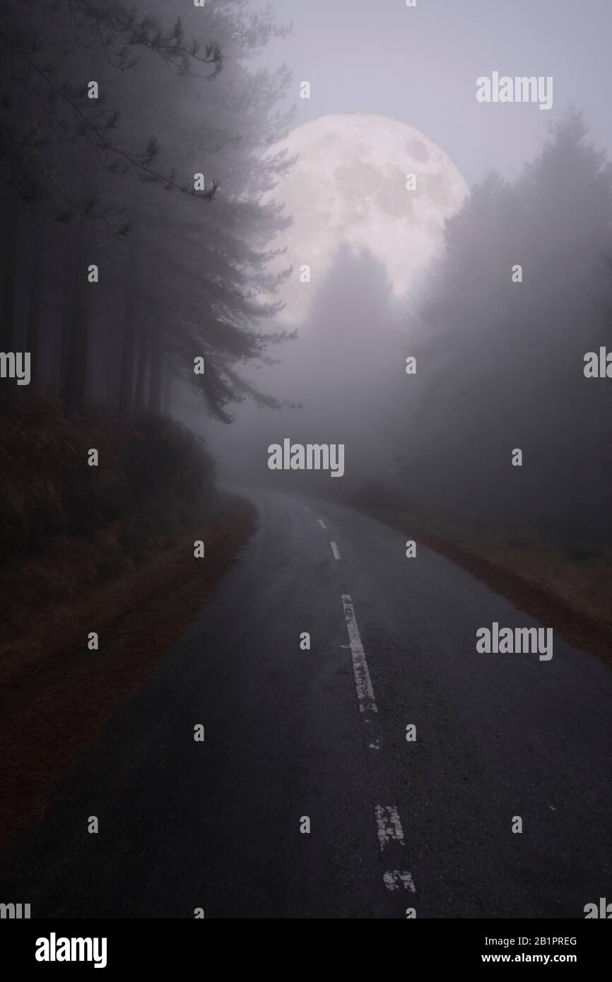 Full moon dusk pine hi-res stock photography and images - Alamy