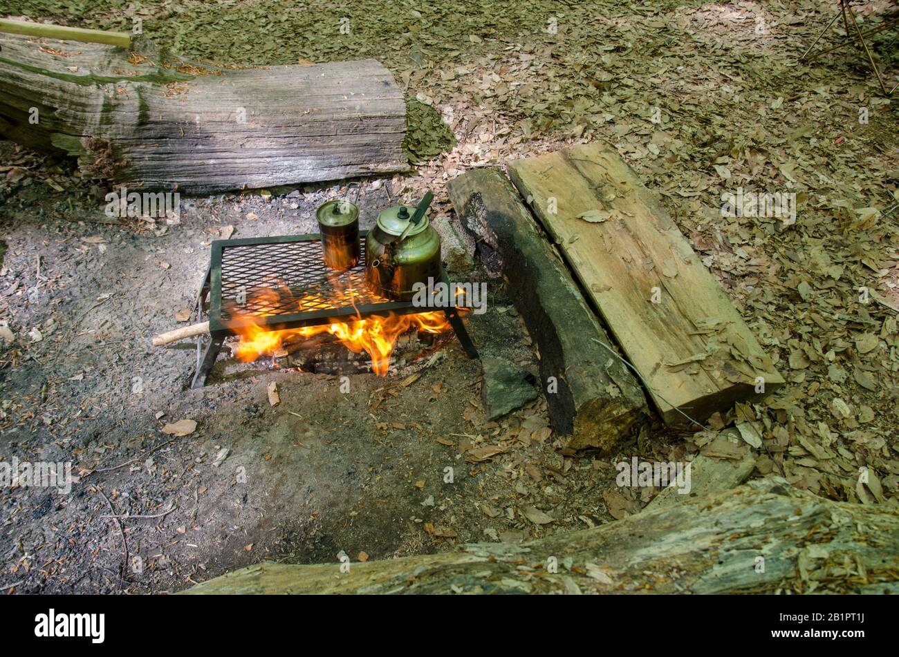 Cooking Tea in Camping Stock Photo - Alamy