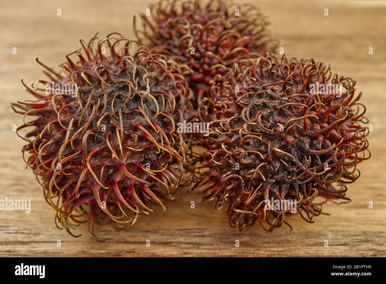 Rambutan Fruit Brown