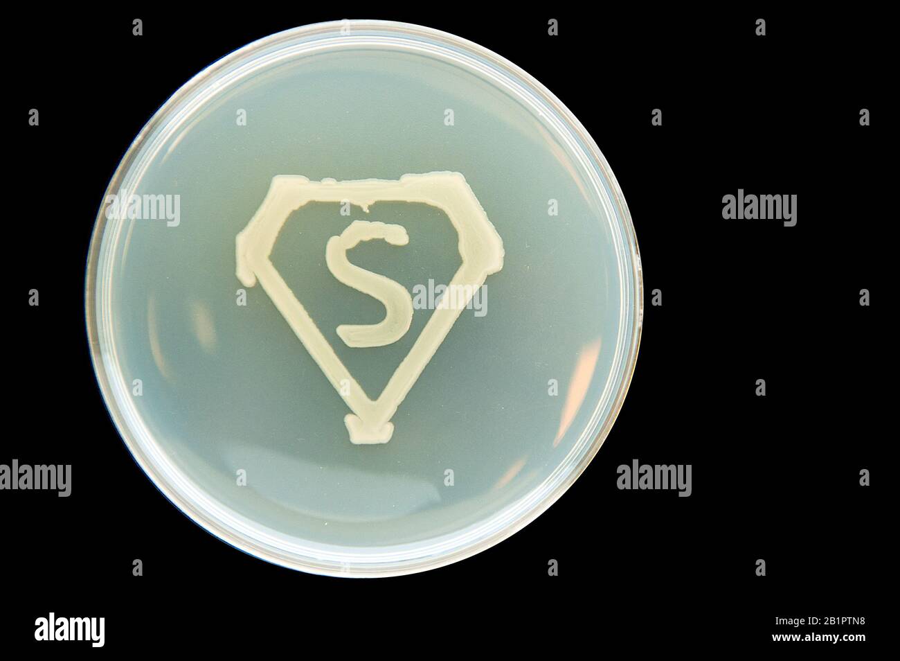 Super bacteria concept - symbol consisting of bacterial culture Stock ...