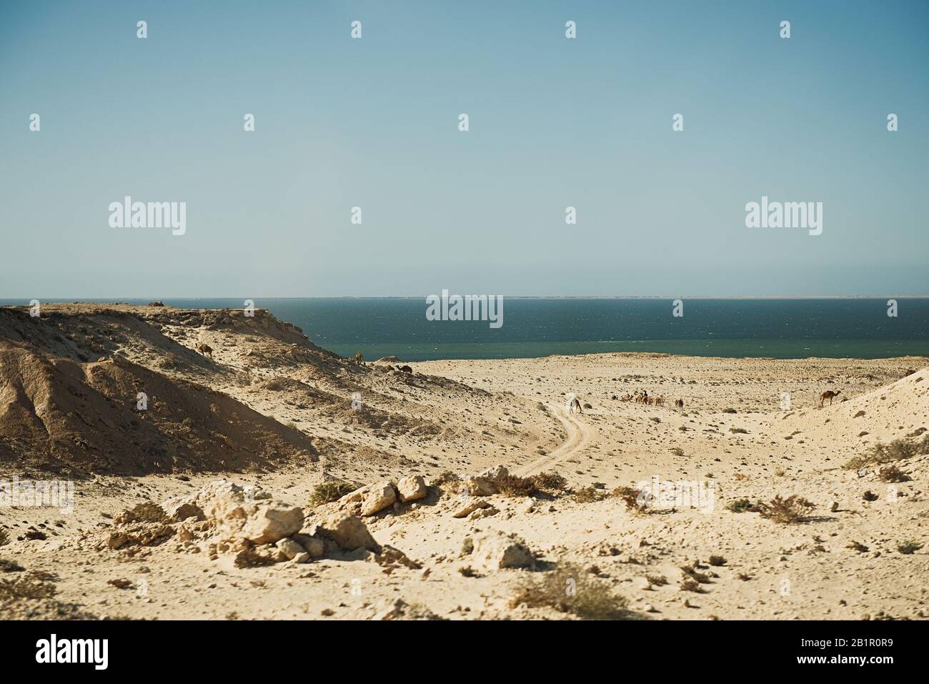 Amazing sand dunes during sunny and windy day in the Natural Reserve of ...