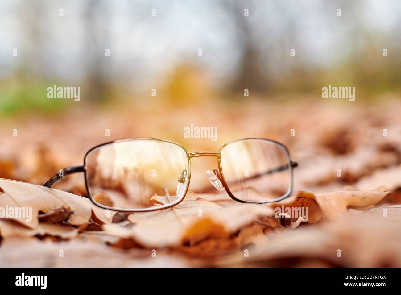 Glasses on autumn foliage. Lost glasses as symbol of sudden vision loss ...