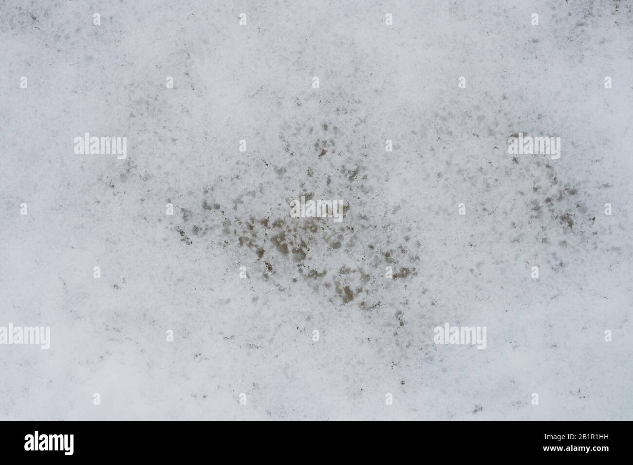 Melting snow texture background. Icy melting snowy backdrop Stock Photo ...