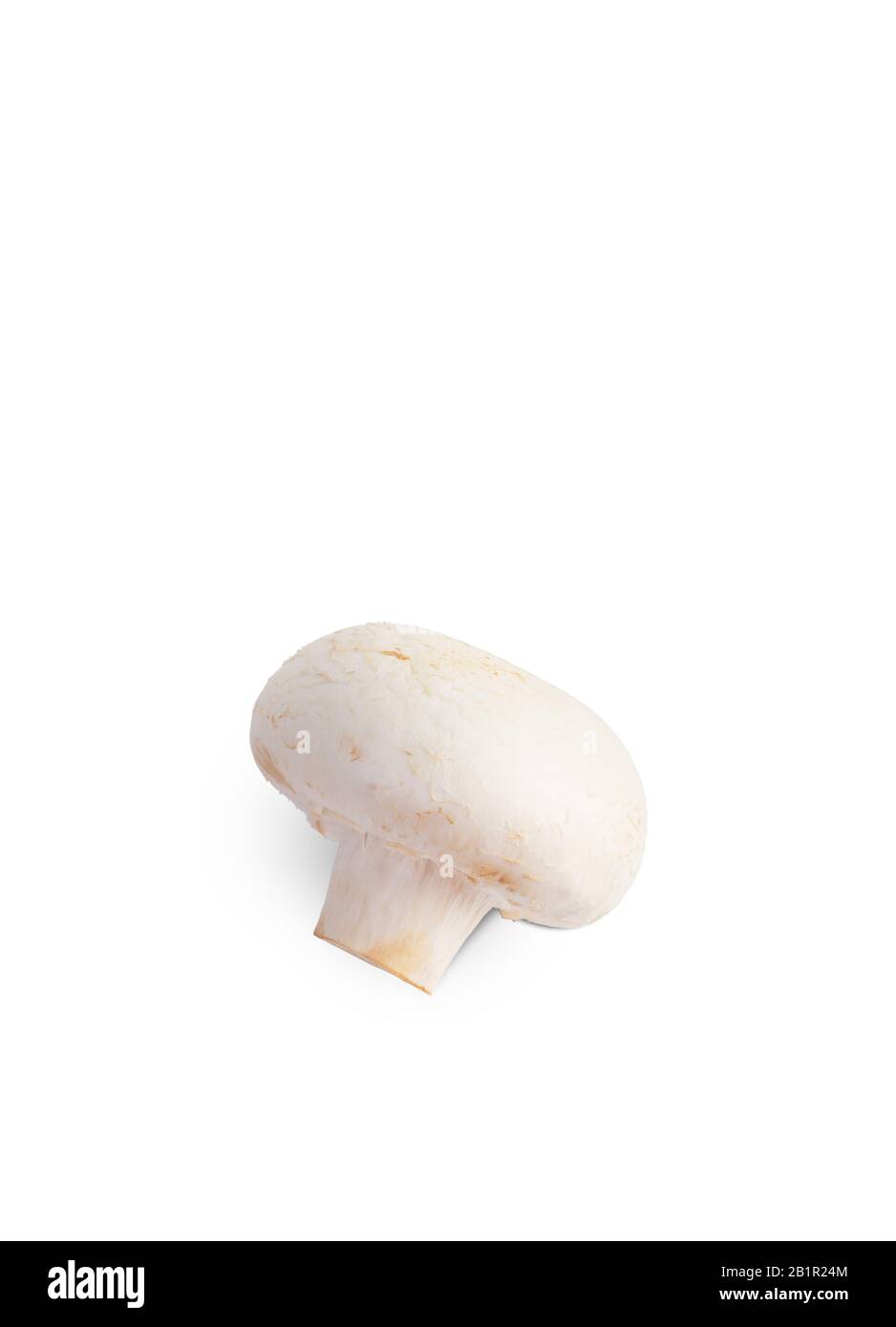 Champignon mushrooms close-up isolated on a white background Stock ...