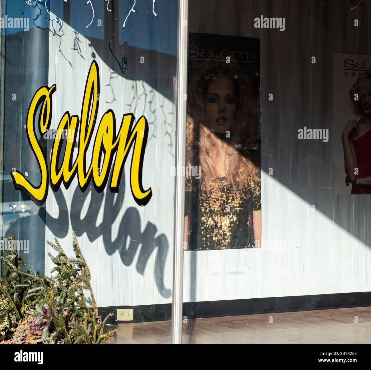 Salon view hi-res stock photography and images - Alamy