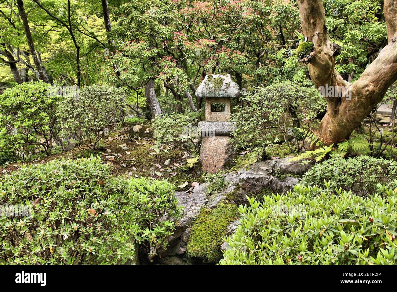 Japanese garden in Nara, Japan (Kansai region) - UNESCO World Heritage ...