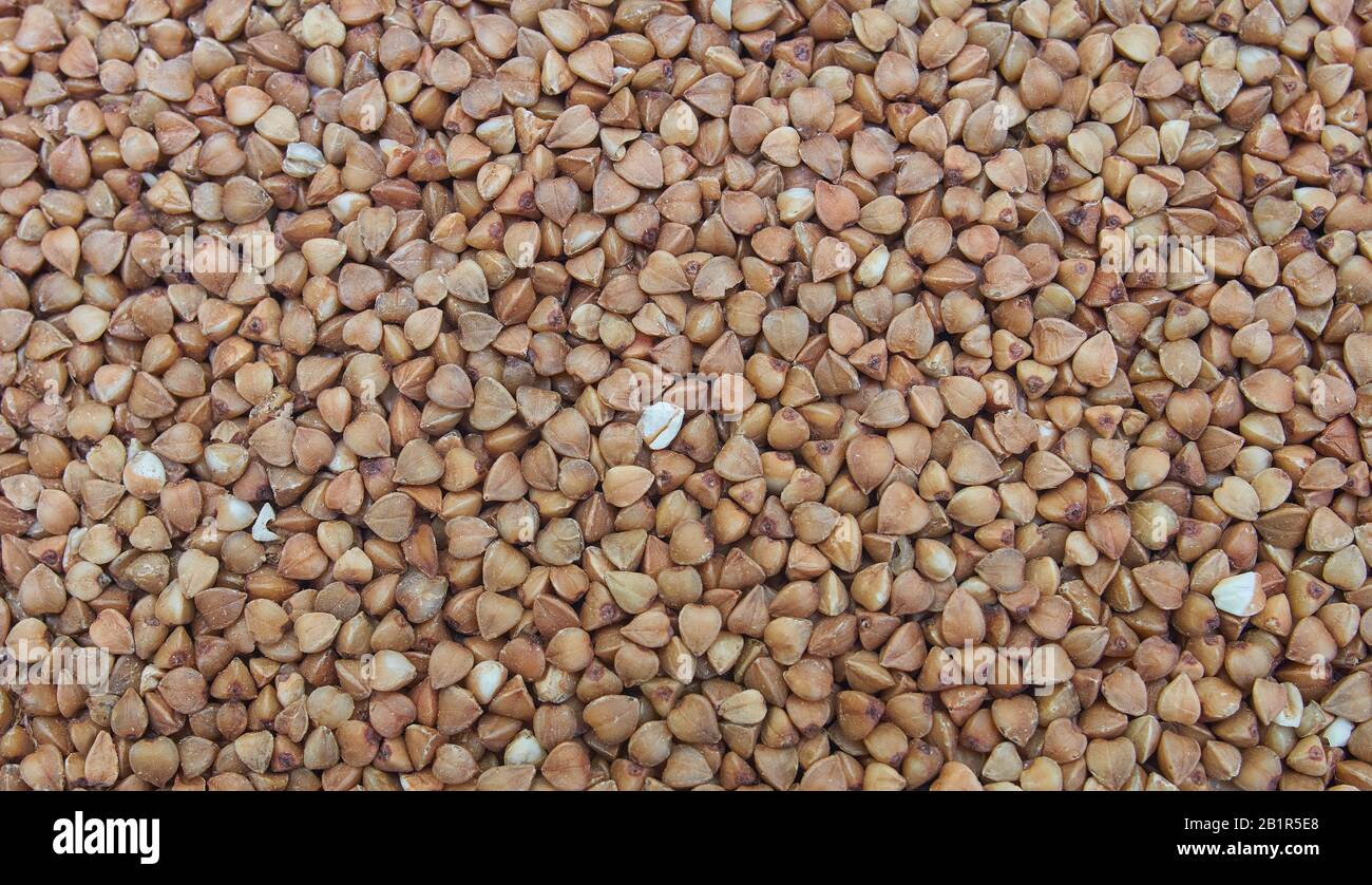 Buckwheat grains, brown seeds, background, texture. Grechka Stock Photo ...
