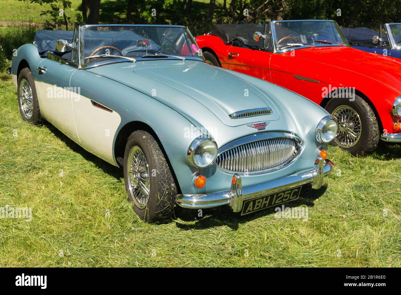Austin Healey 3000 Mark 3 vintage British sports car a classic ...