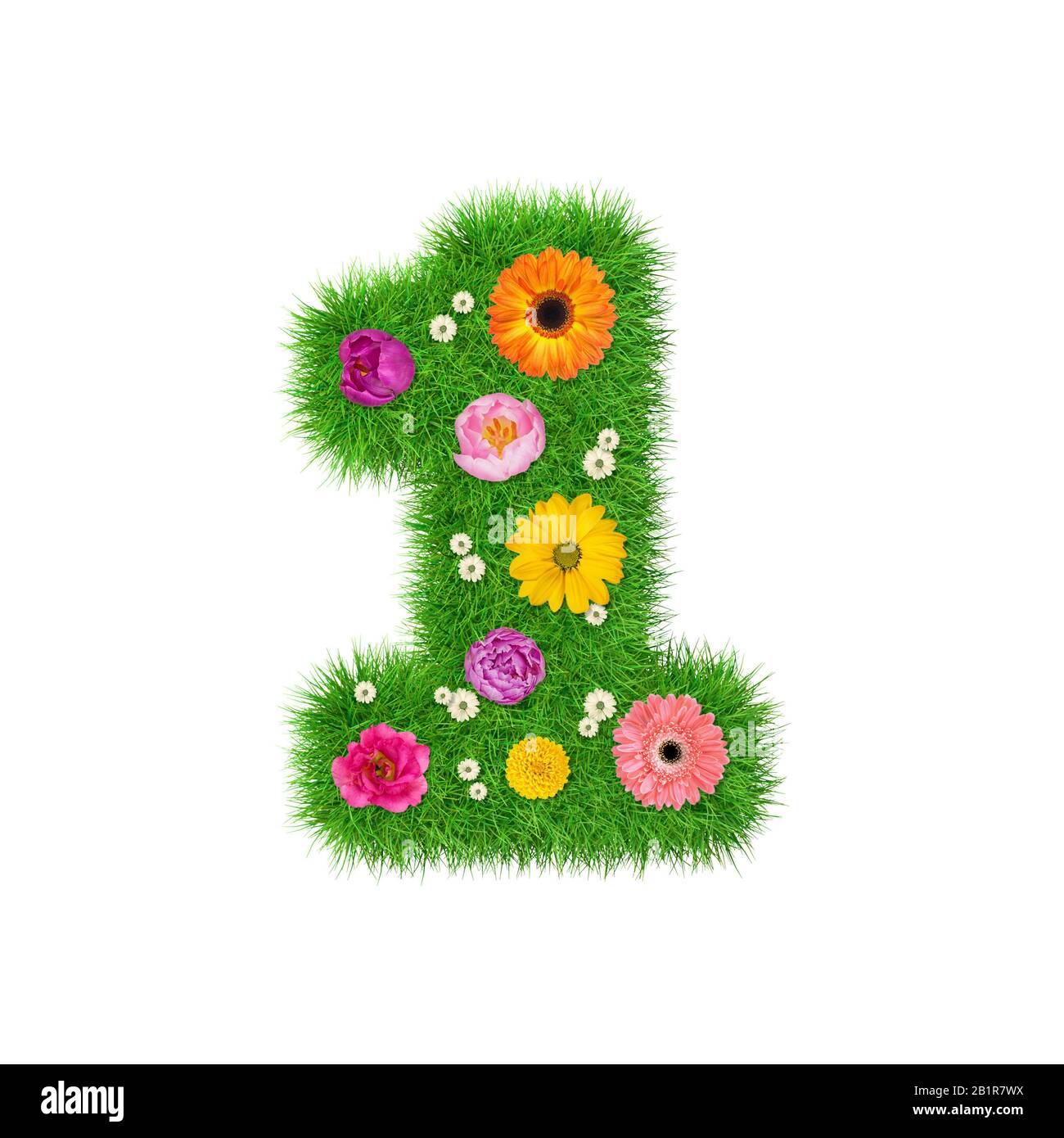 Number 1 made of grass and colorful flowers, spring concept for graphic ...