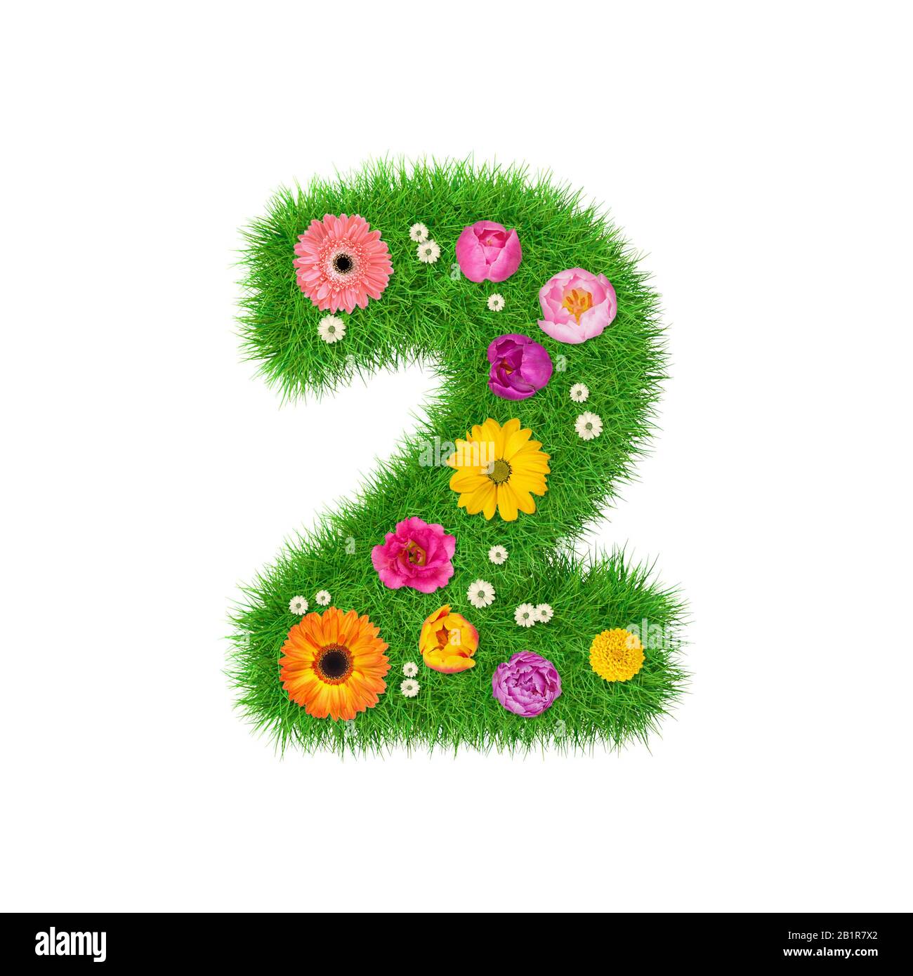 Number 2 made of grass and colorful flowers, spring concept for graphic ...