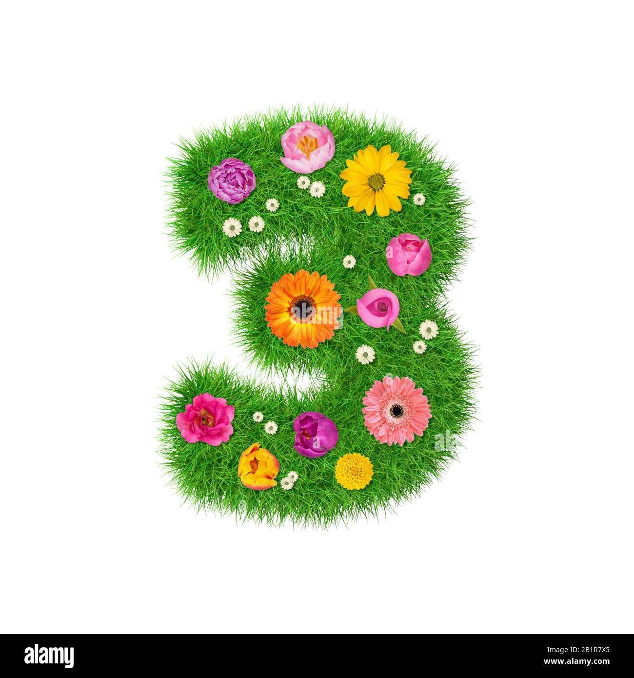 Grass font type hi-res stock photography and images - Alamy