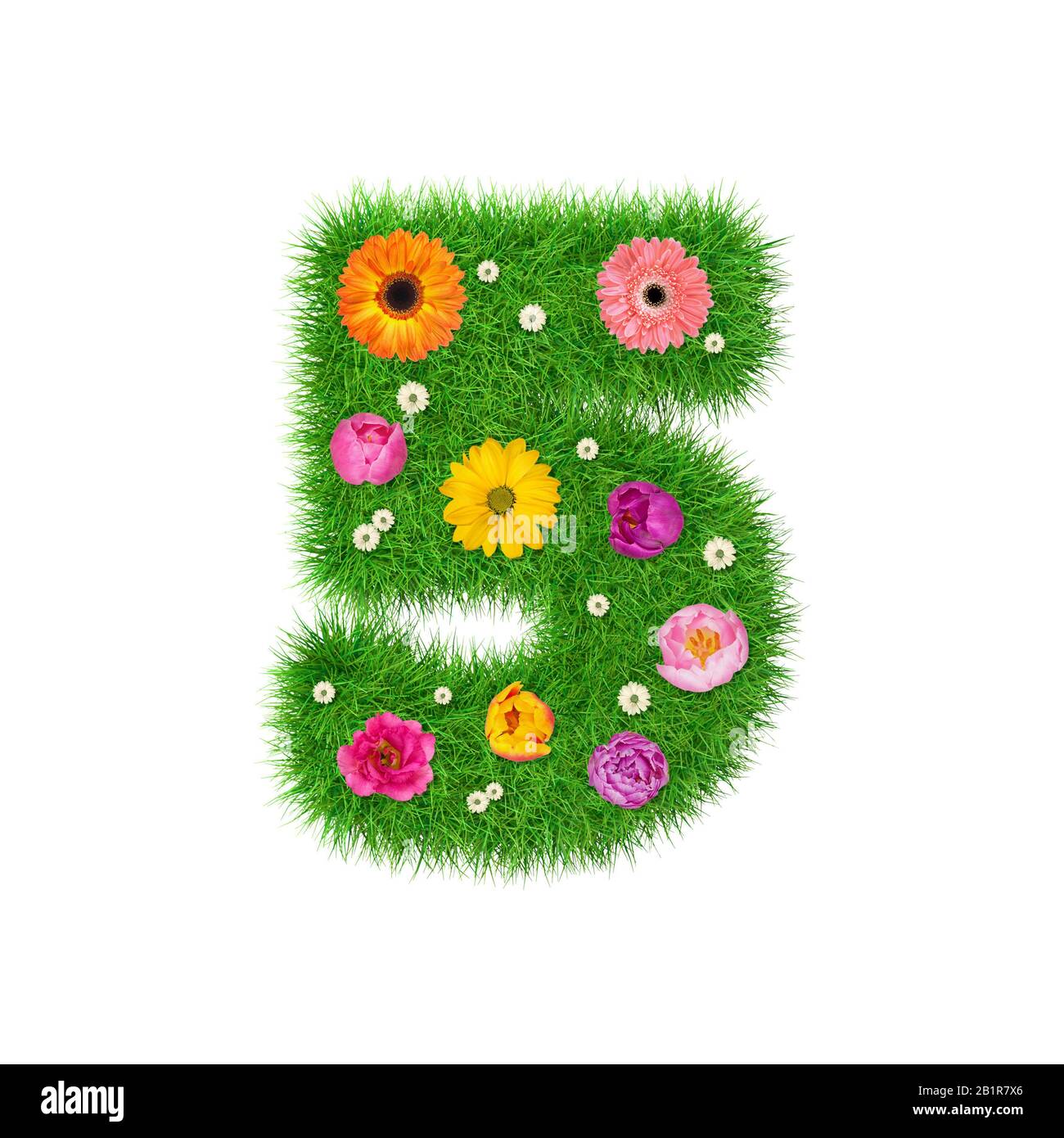 Number 5 made of grass and colorful flowers, spring concept for graphic ...