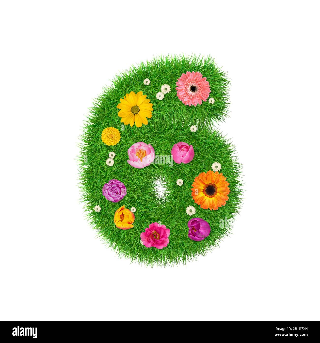 Number 6 made of grass and colorful flowers, spring concept for graphic ...