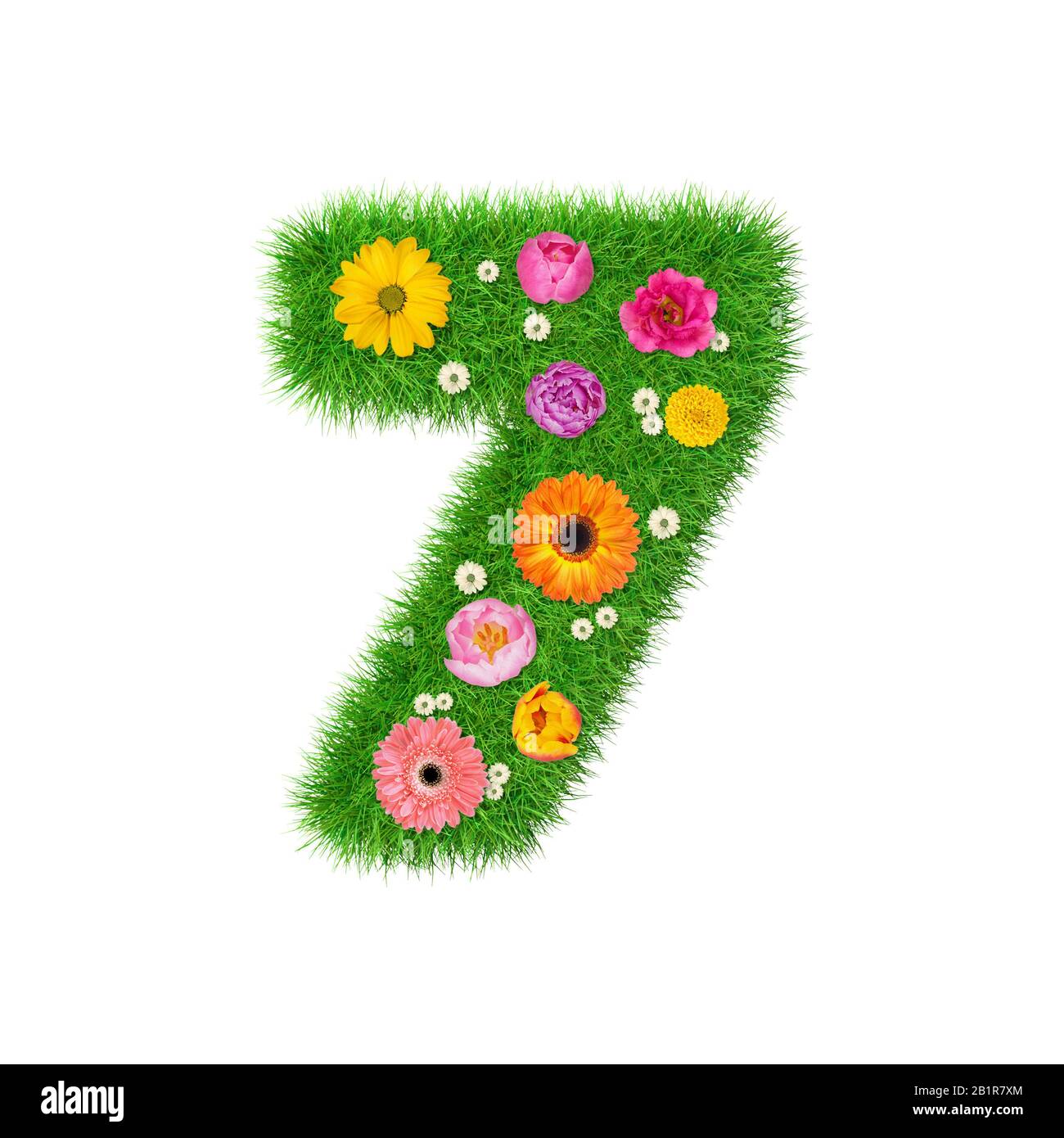 Number 7 made of grass and colorful flowers, spring concept for graphic ...