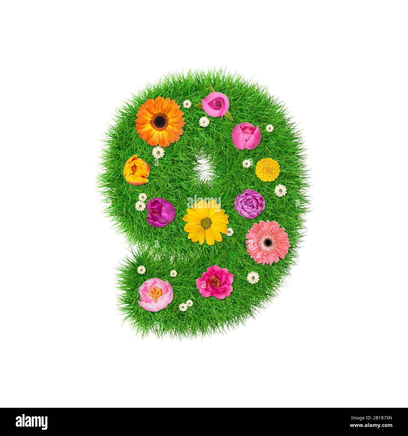 Number 8 made of grass and colorful flowers, spring concept for graphic ...