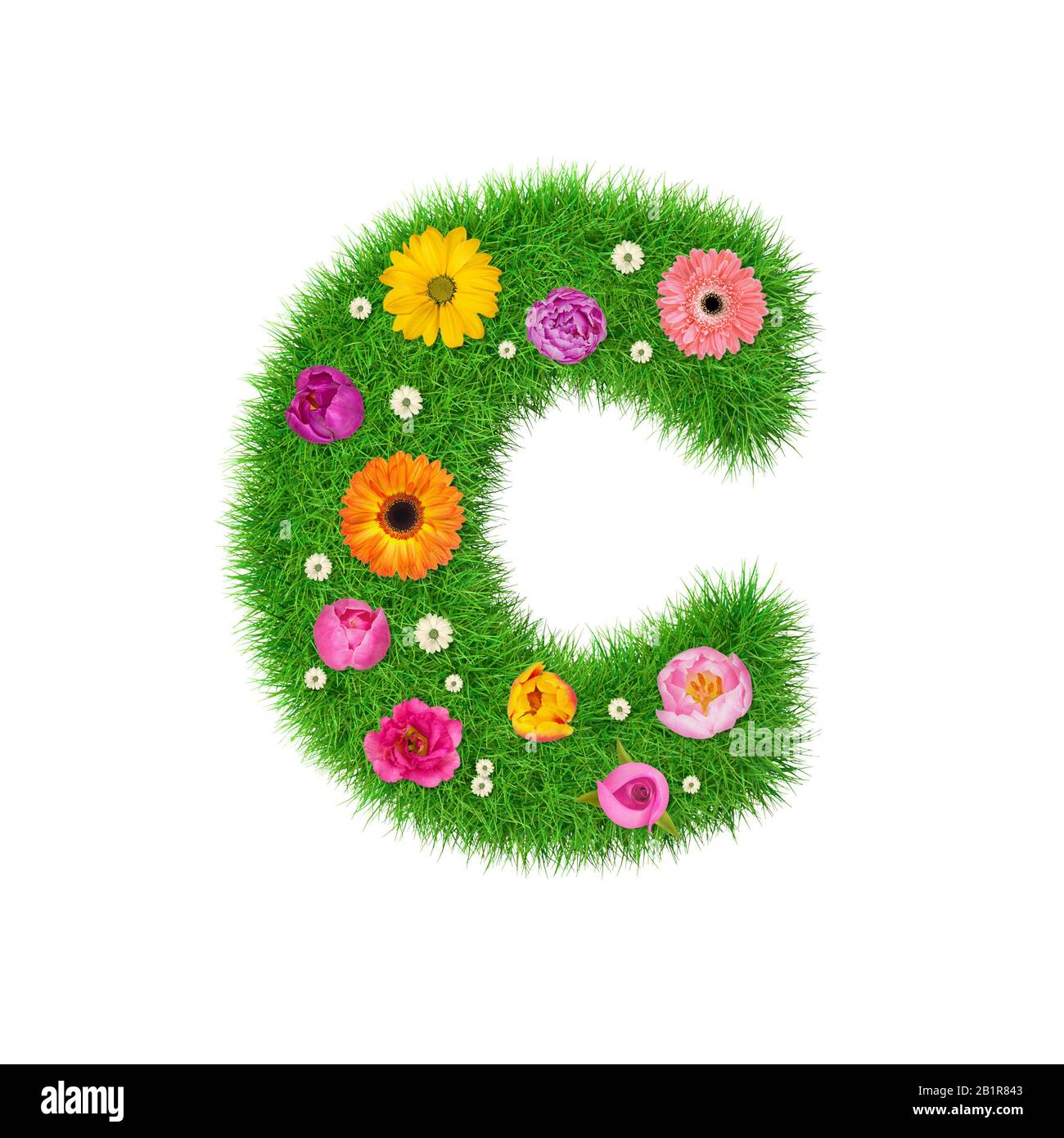 Letter C made of grass and colorful flowers, spring concept for graphic ...