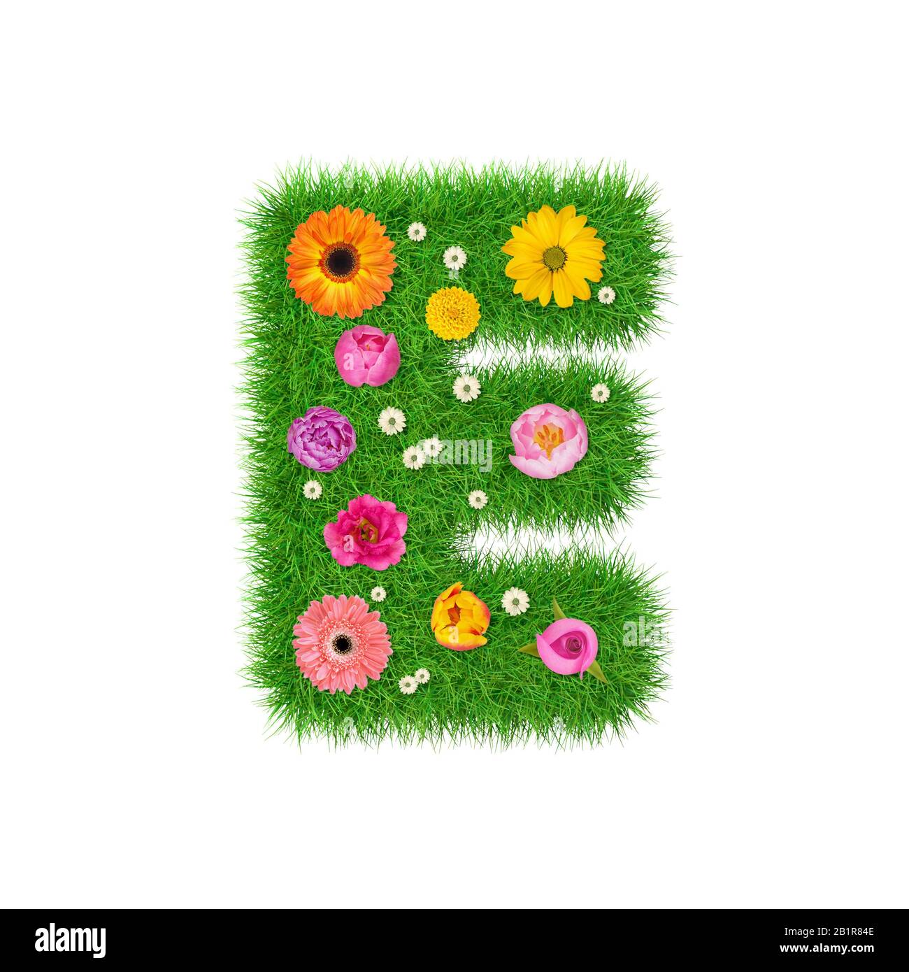 Letter E Flowers High Resolution Stock Photography and Images - Alamy
