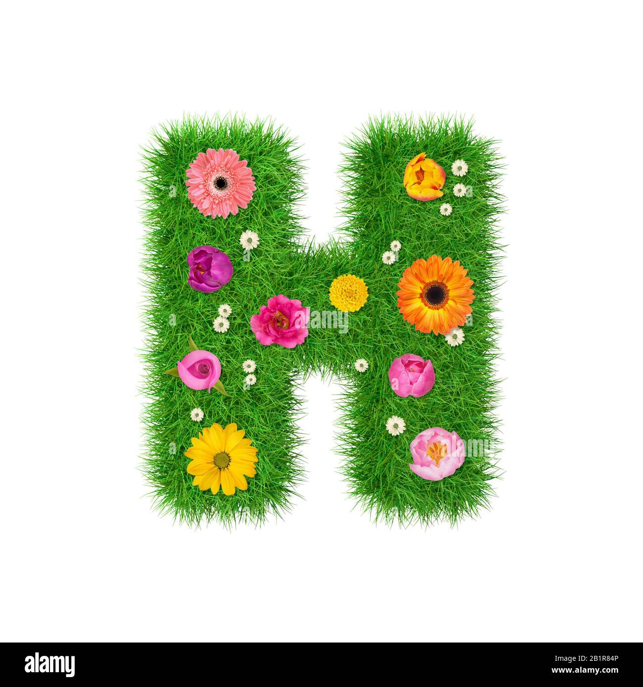 Letter H made of grass and colorful flowers, spring concept for graphic ...