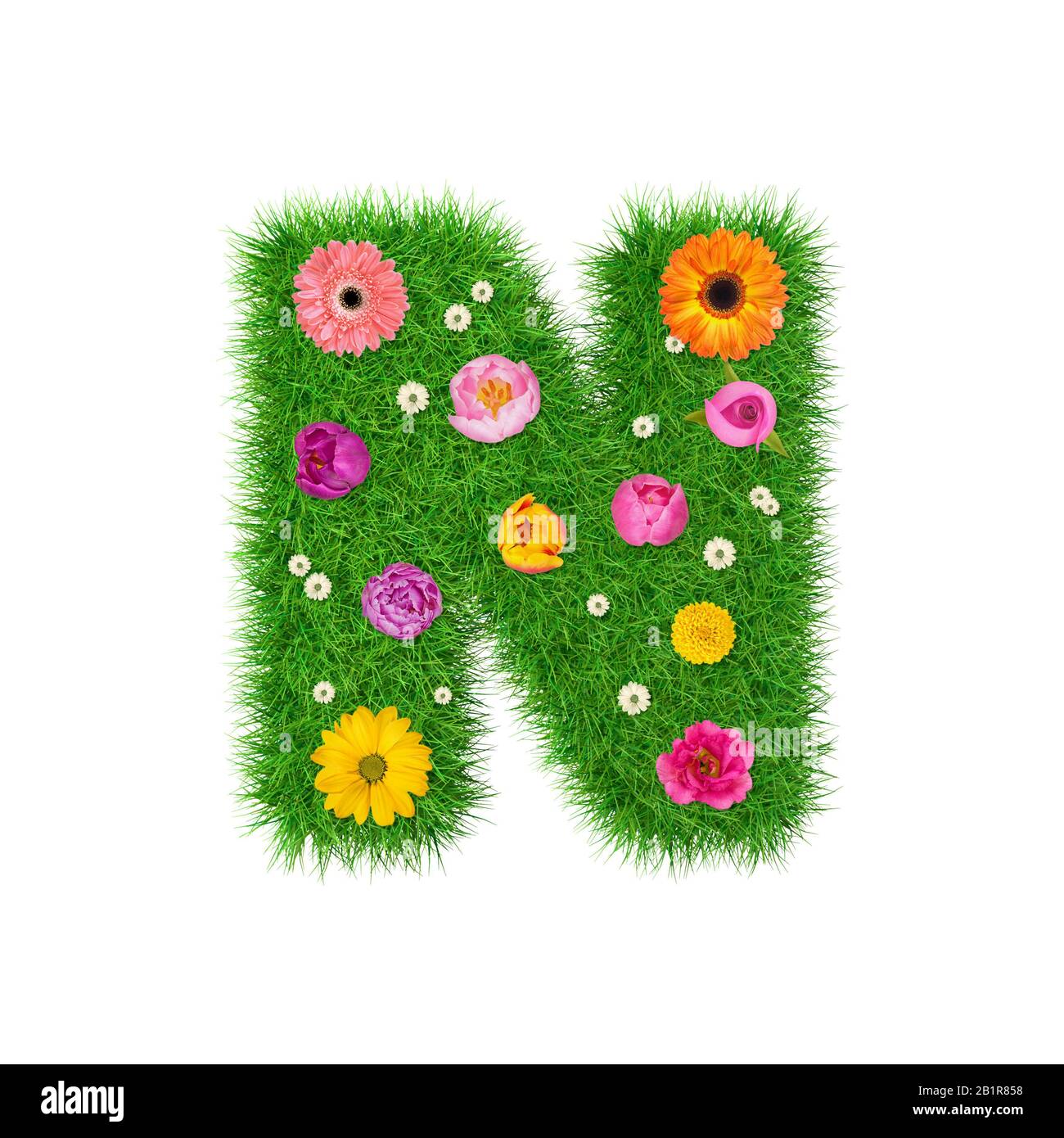 Letter N made of grass and colorful flowers, spring concept for graphic ...
