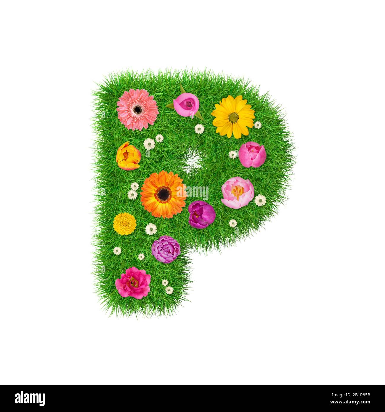 Letter P made of grass and colorful flowers, spring concept for graphic ...