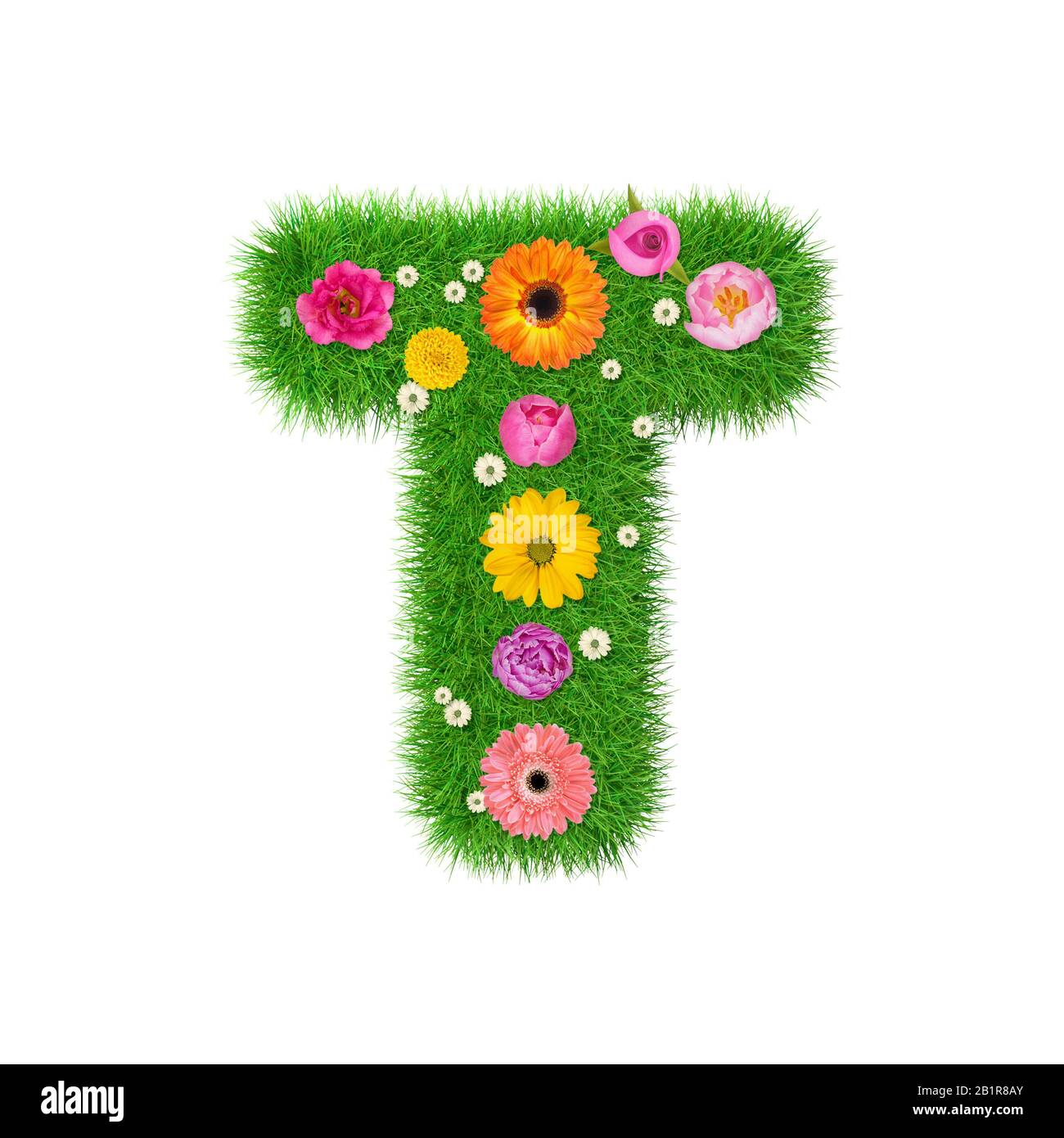 Colorful Letter T