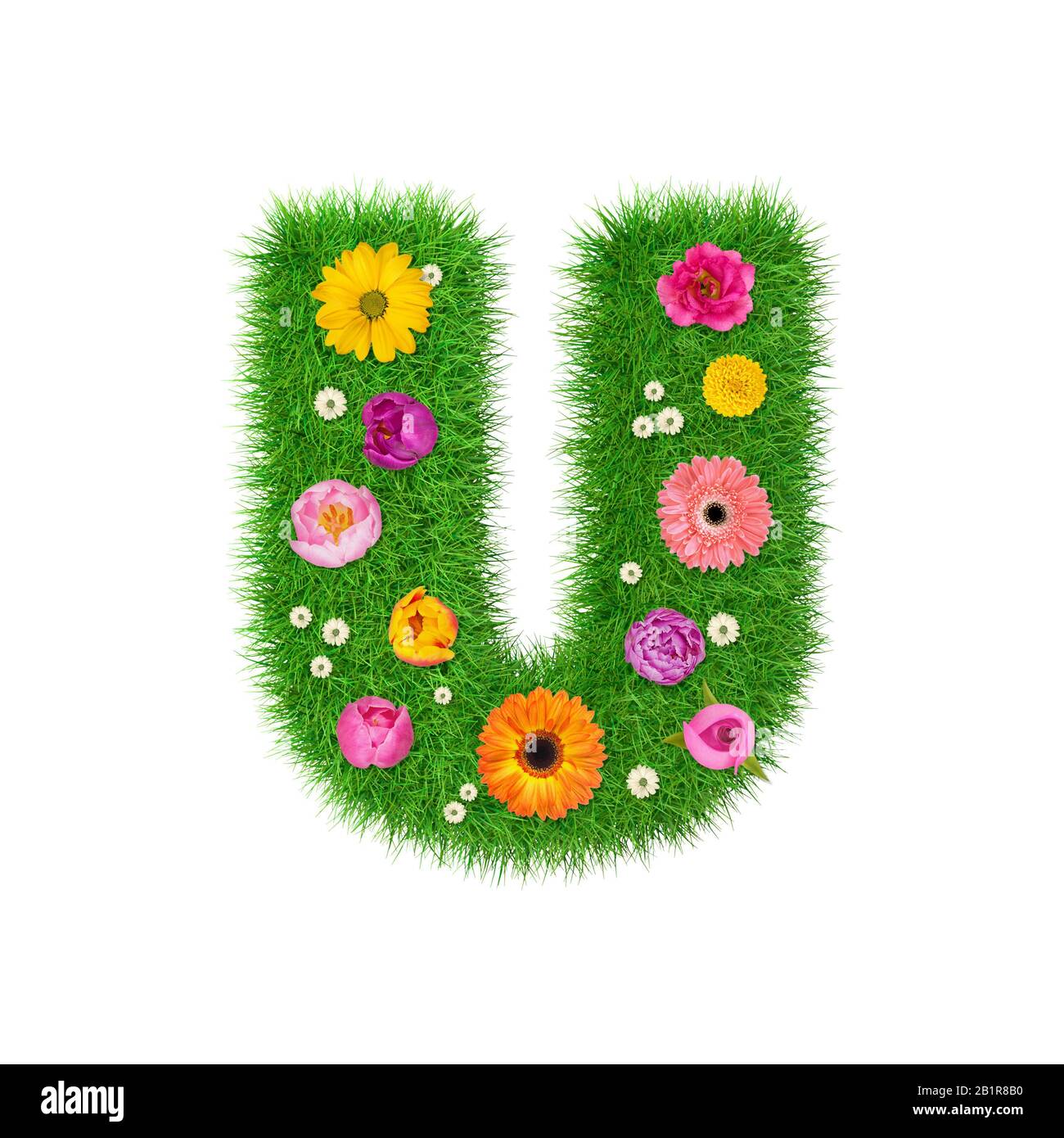 Letter U made of grass and colorful flowers, spring concept for graphic ...