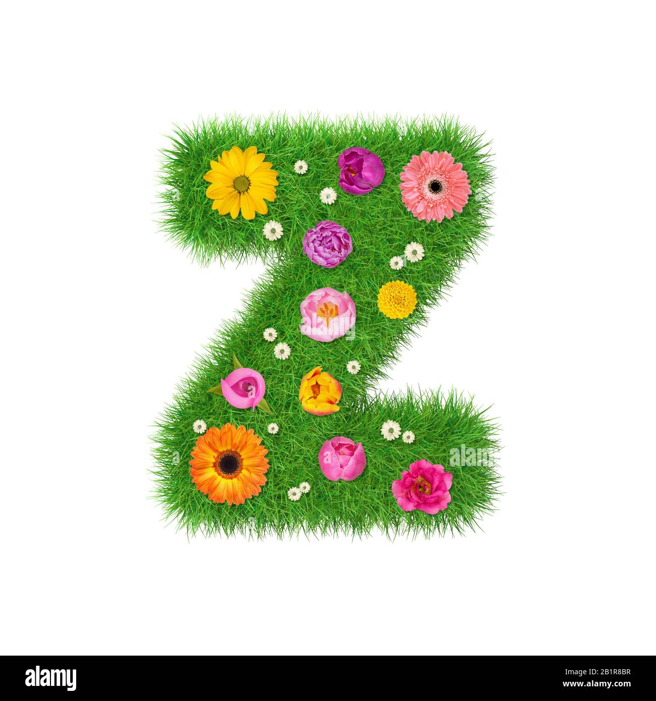 Letter Z made of grass and colorful flowers, spring concept for graphic ...
