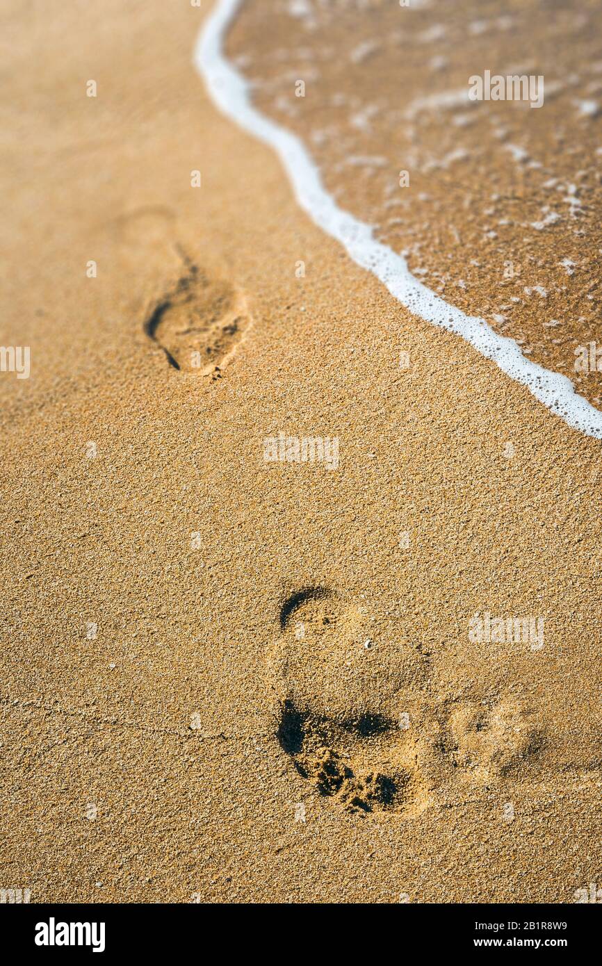 Footmark hi-res stock photography and images - Alamy