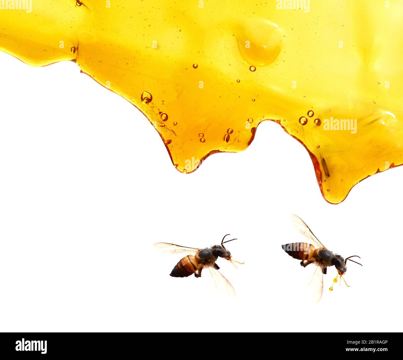 Flow of sweet honey on the white background Stock Photo - Alamy