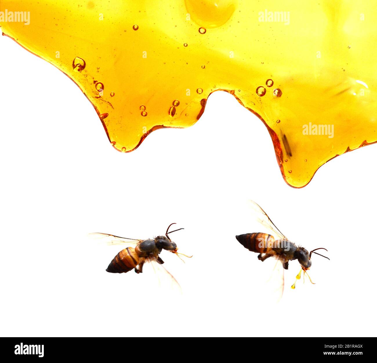 Flow of sweet honey on the white background Stock Photo - Alamy