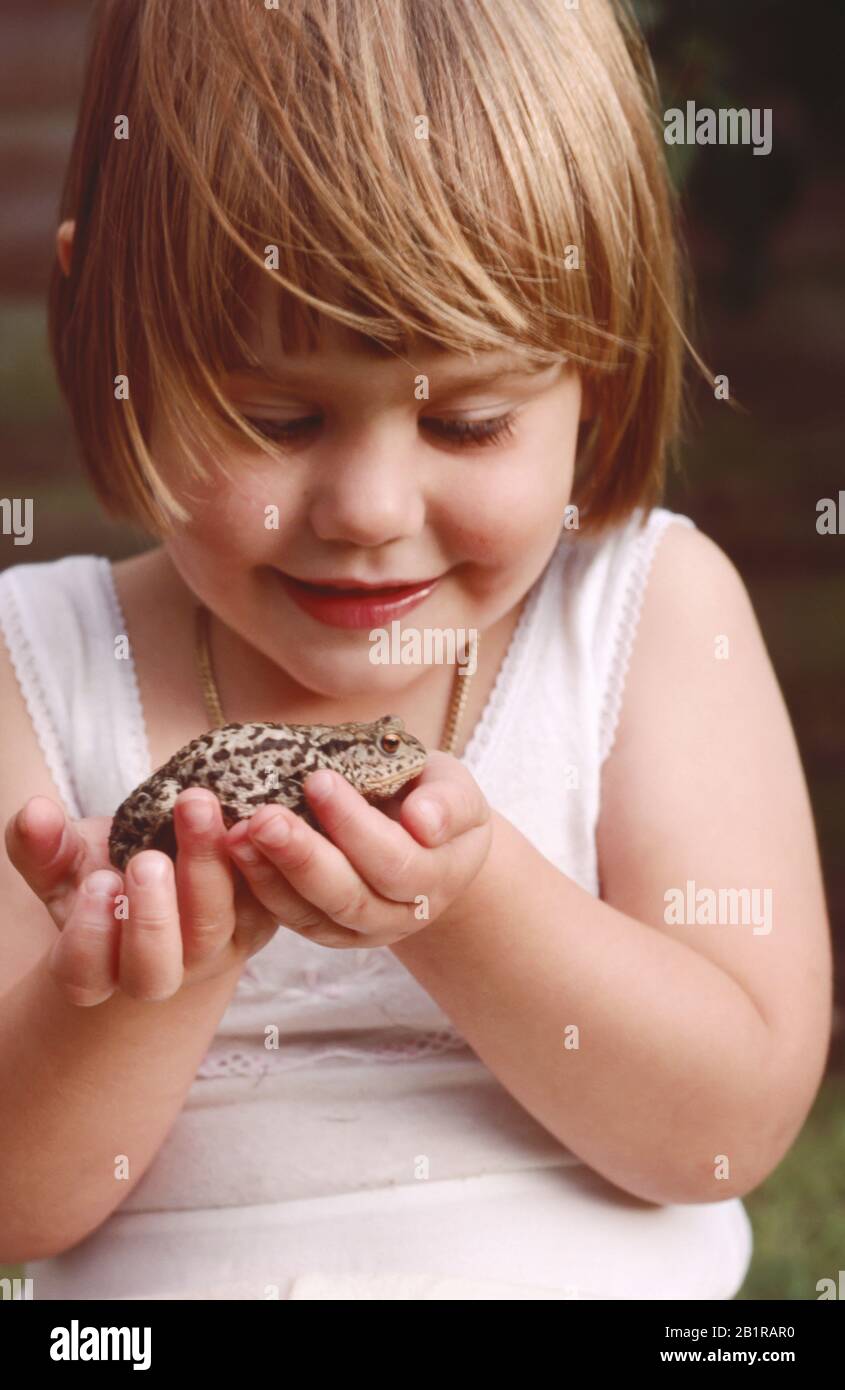 young child, little girl, holding a toad in her hands Stock Photo - Alamy