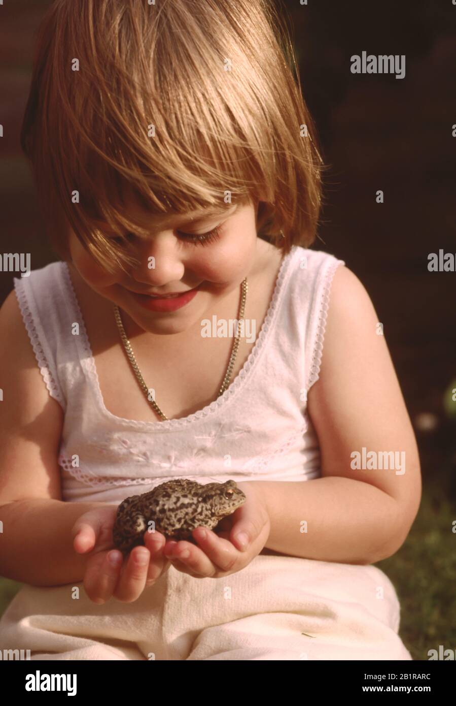 young child, little girl, holding a toad in her hands Stock Photo - Alamy