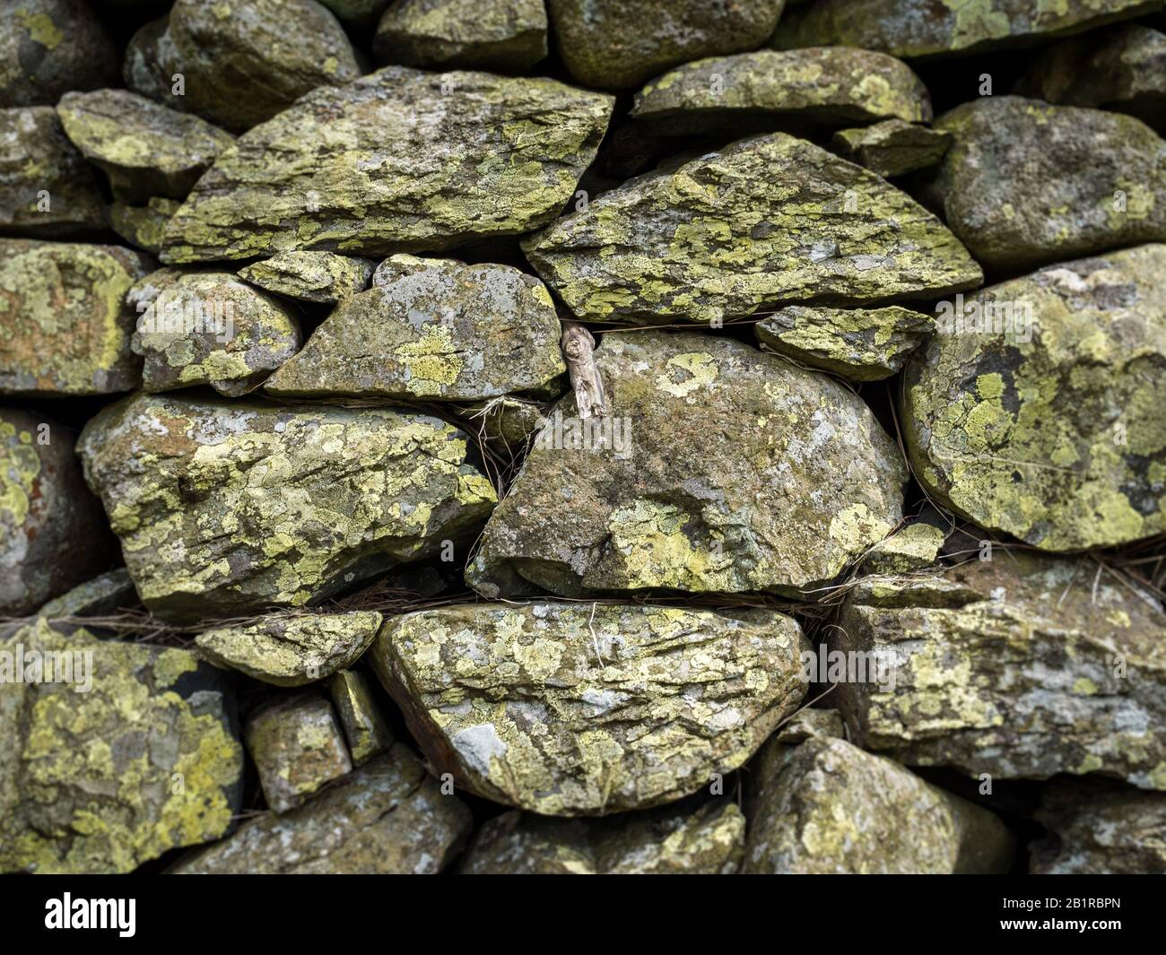 Dry Stone Wall. Traditional lichen covered stone wall as is typically ...