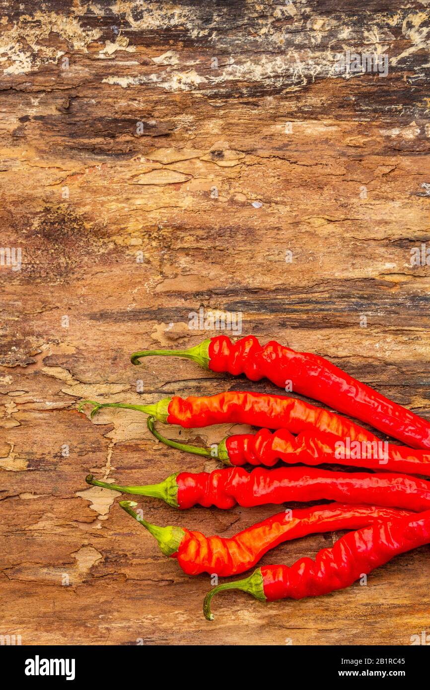 Red and orange chili pepper cooking food background. Traditional ...