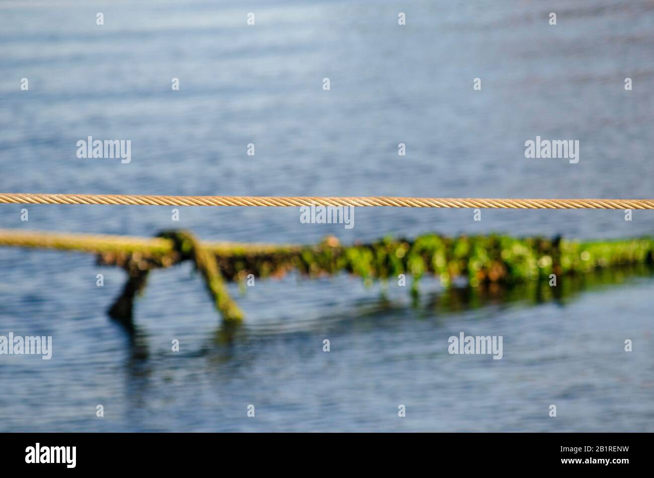Old Mossy Rope in The Sea Stock Photo - Alamy