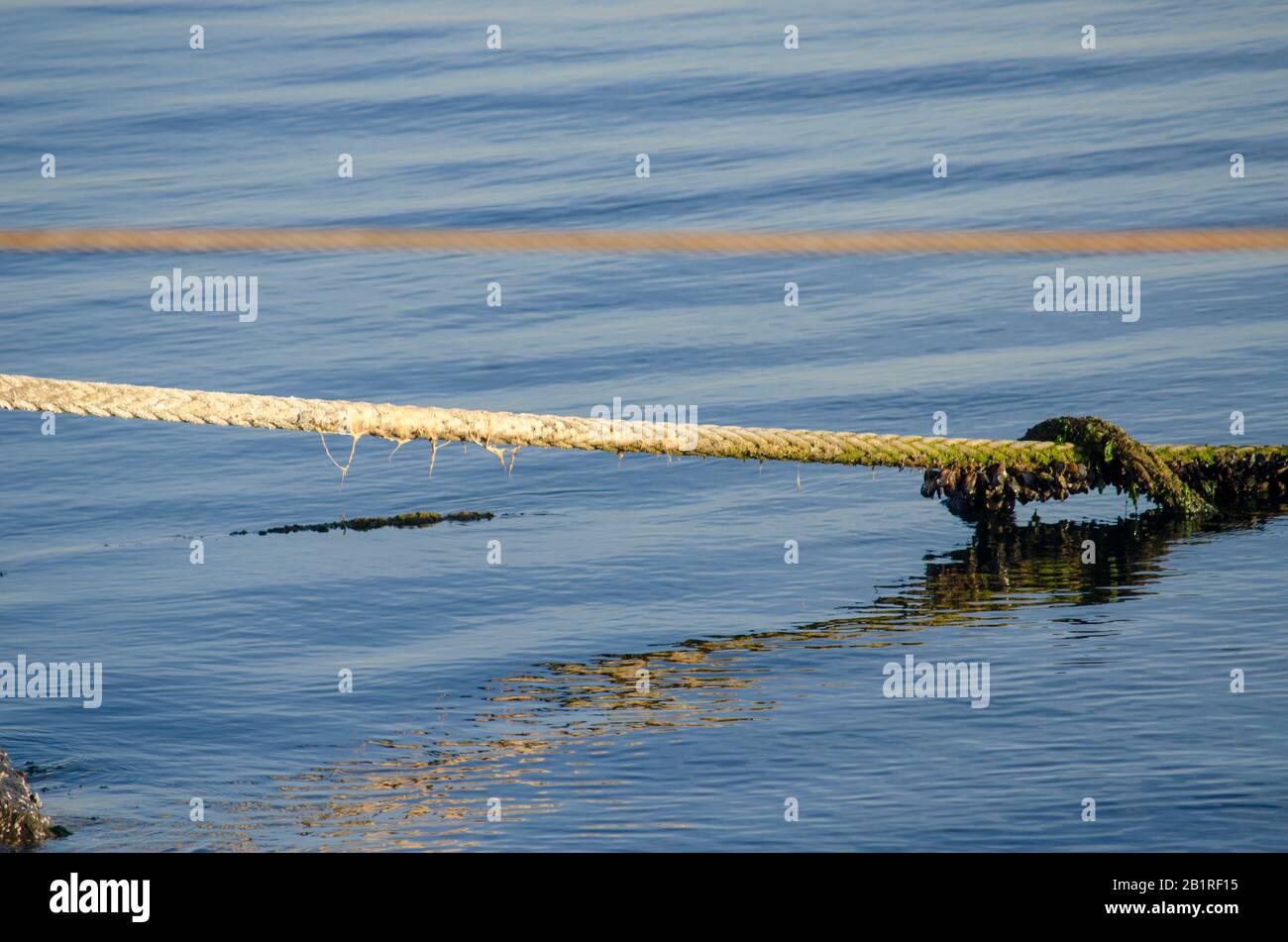 Mossy rope hi-res stock photography and images - Alamy