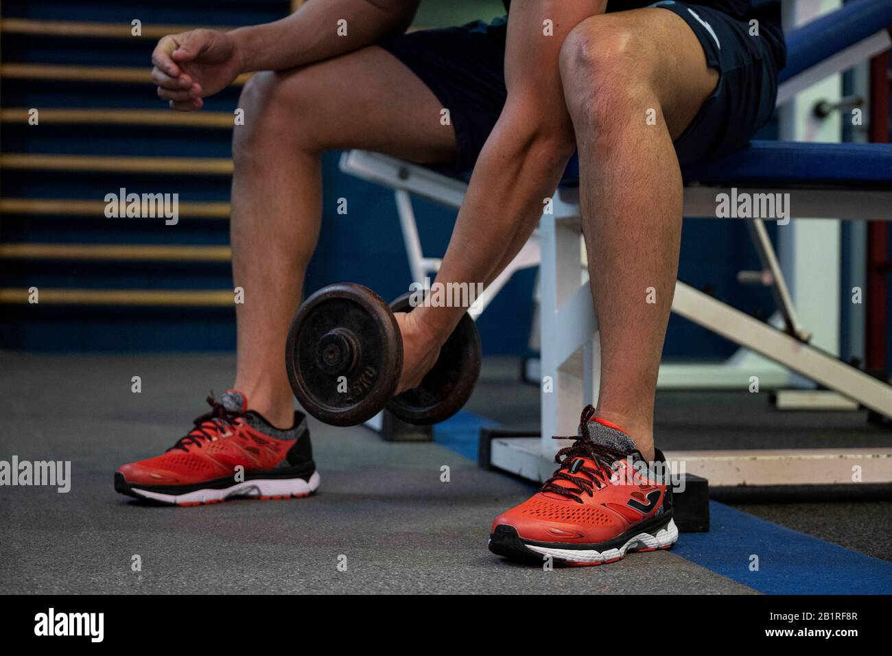 young athlete sitting on a bench and lifting weights in a gym Stock ...