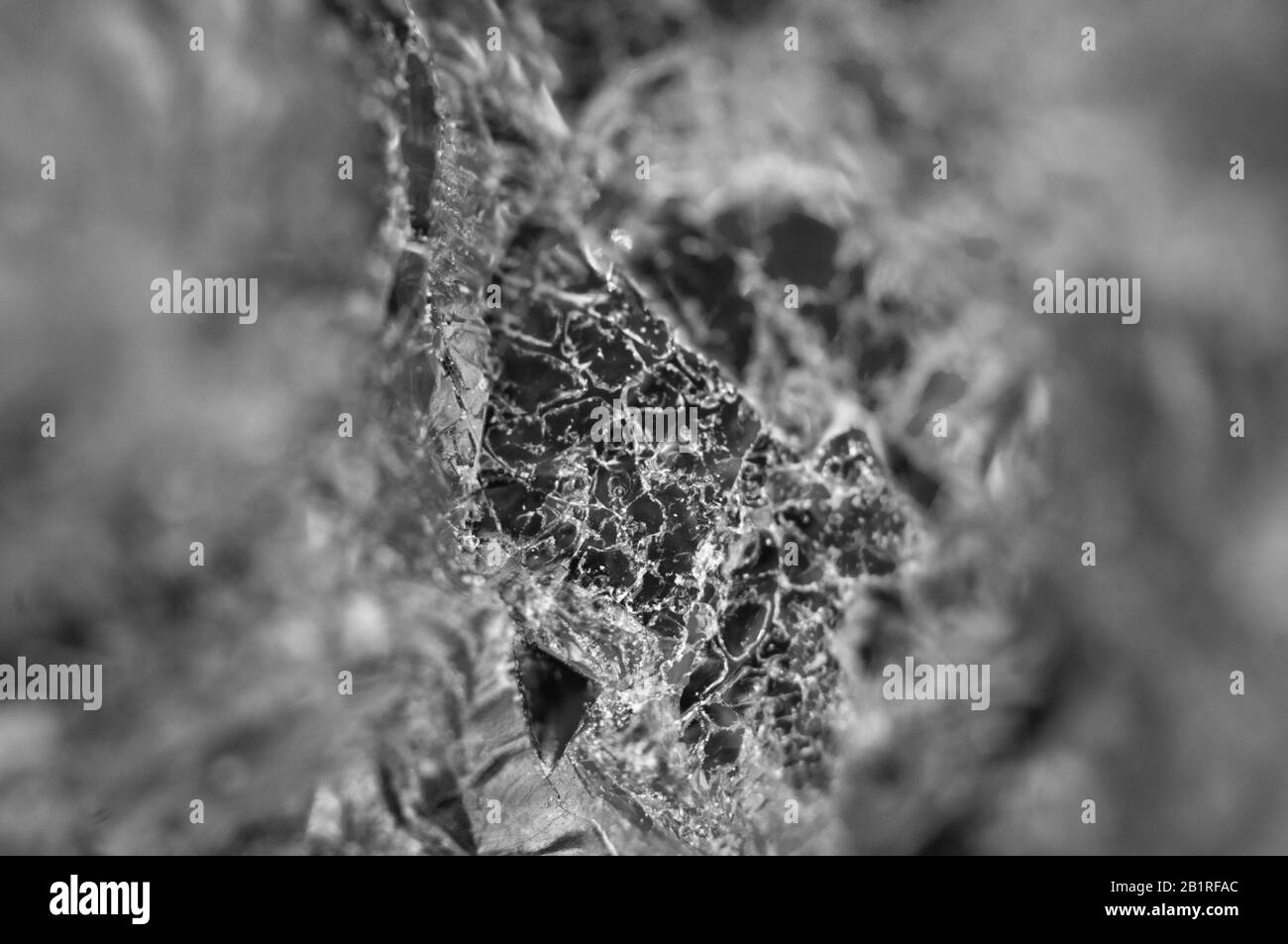 Clear quartz crystal Black and White Stock Photos & Images - Alamy