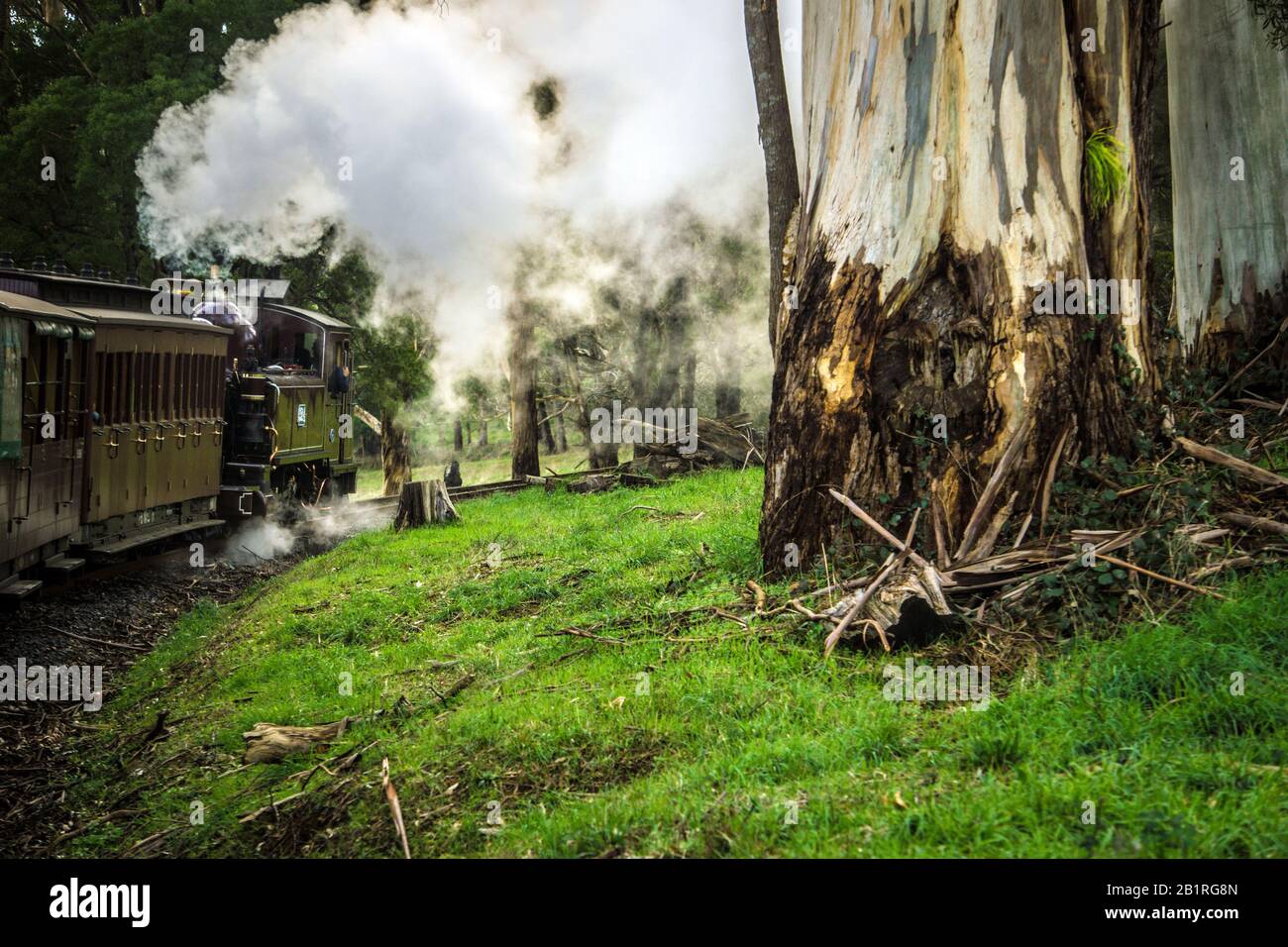 Dandenong ranges hi-res stock photography and images - Alamy