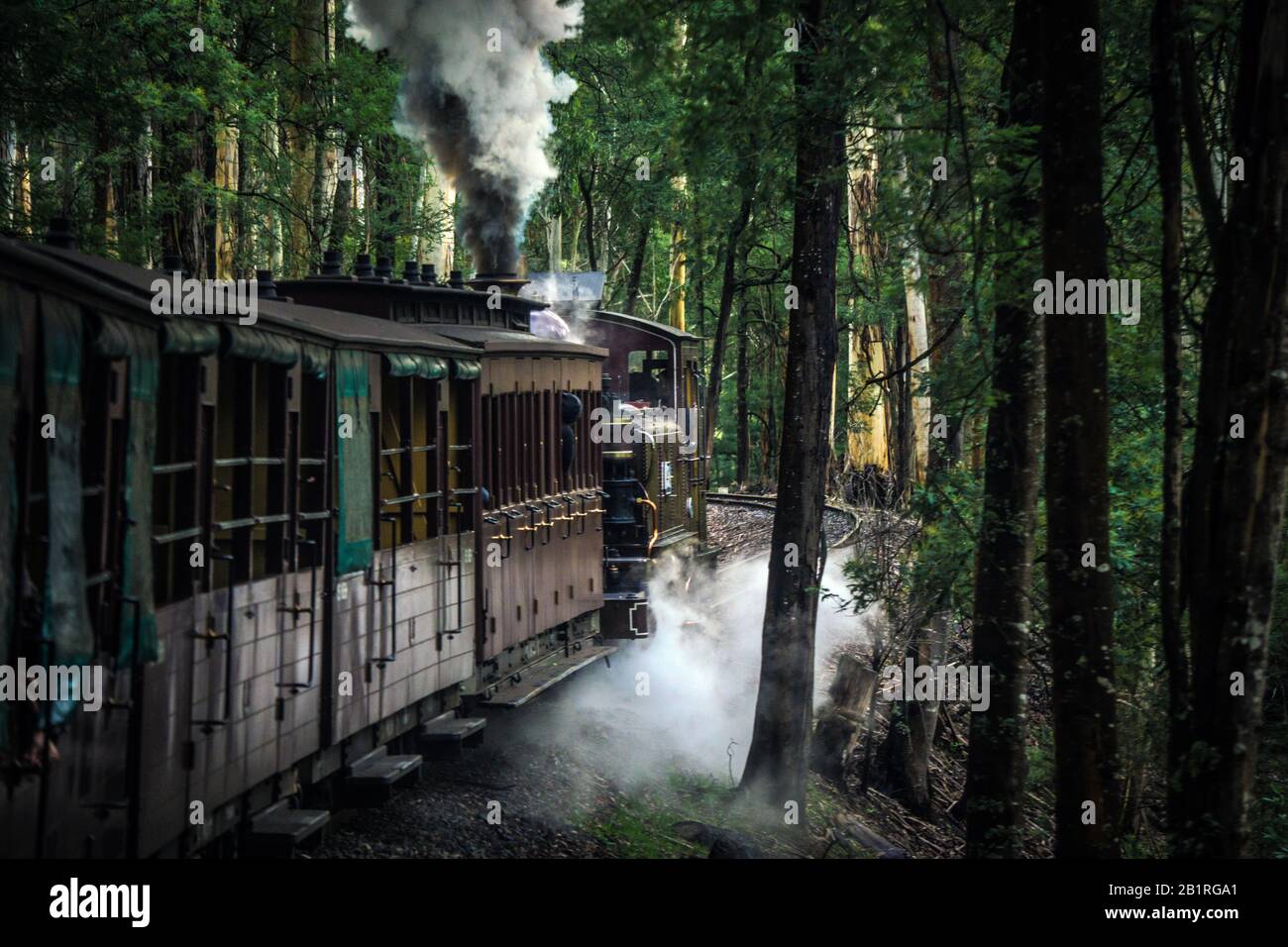 Historic steam train Puffing Billy located in Dandenong Ranges, the east of Melbourne, Victoria ...