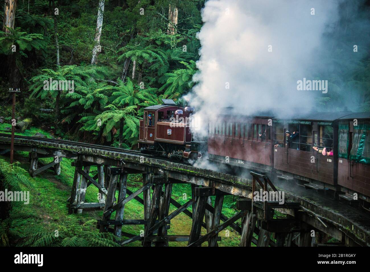 Historic steam train Puffing Billy located in Dandenong Ranges, the east of Melbourne, Victoria ...
