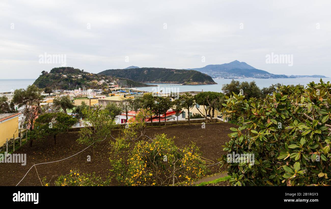 Procida (Napoli, Italy) - View of Ischia, Vivara and Chiaiolella bay ...
