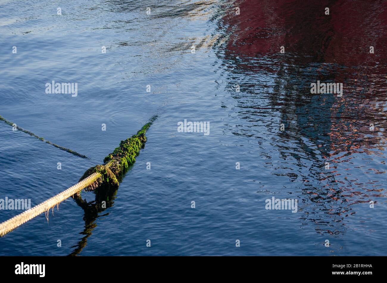 Old Mossy Rope in The Sea Stock Photo - Alamy