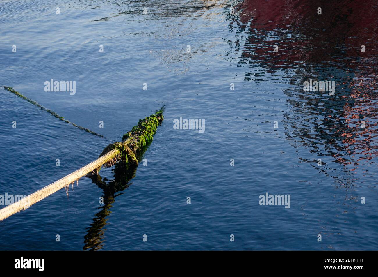 Old Mossy Rope in The Sea Stock Photo - Alamy