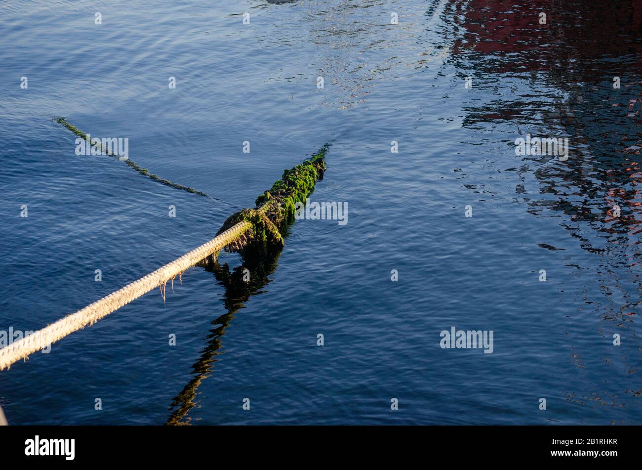 Old Mossy Rope in The Sea Stock Photo - Alamy