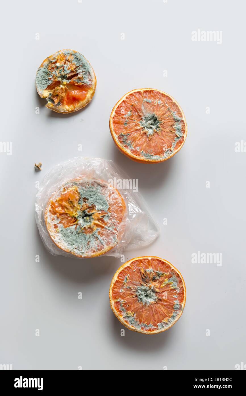 Ugly mold orange in cellophane package on grey. View from above ...