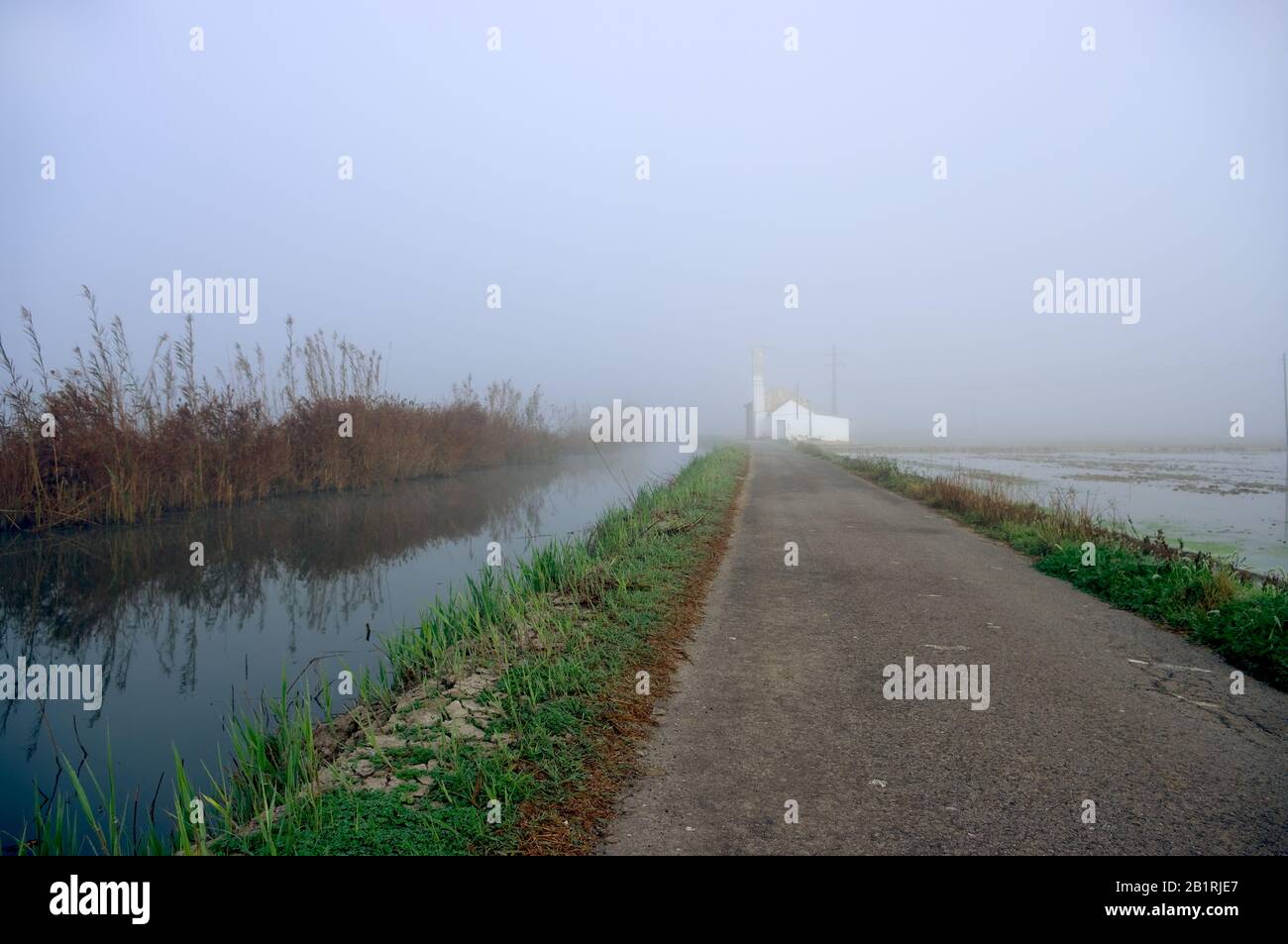 Road and water channel towards the infinity of fog Stock Photo - Alamy